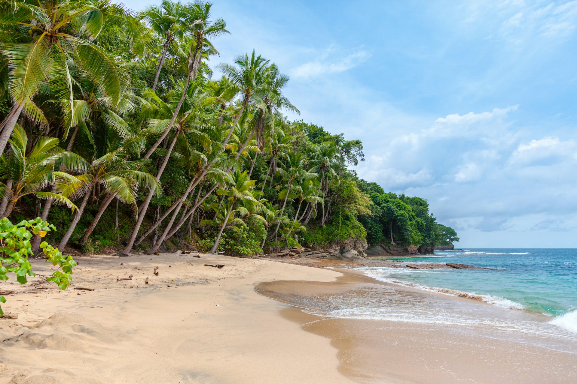 Why Dynamic Packaging Holidays Are the Future of Travel - Scratch Purr
