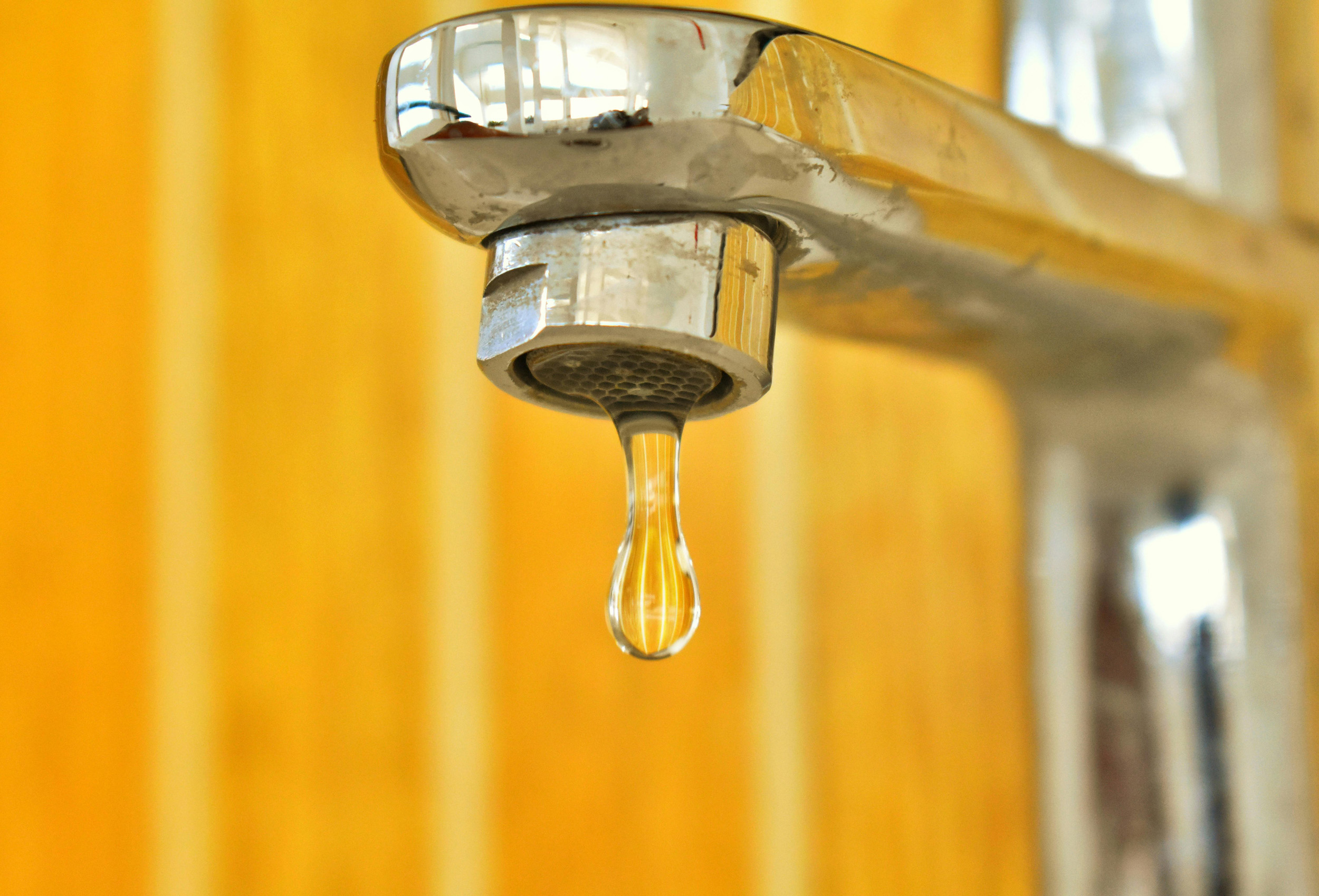 The Costly Consequences of Ignoring a Leak in Your Home - Scratch Purr